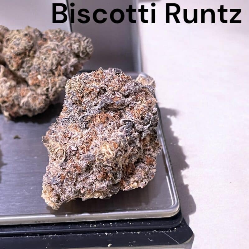 BISCOTTI RUNTZ 3.5g 27%THC HYBRID 🔥🔥 - Weed Delivery New York City ...